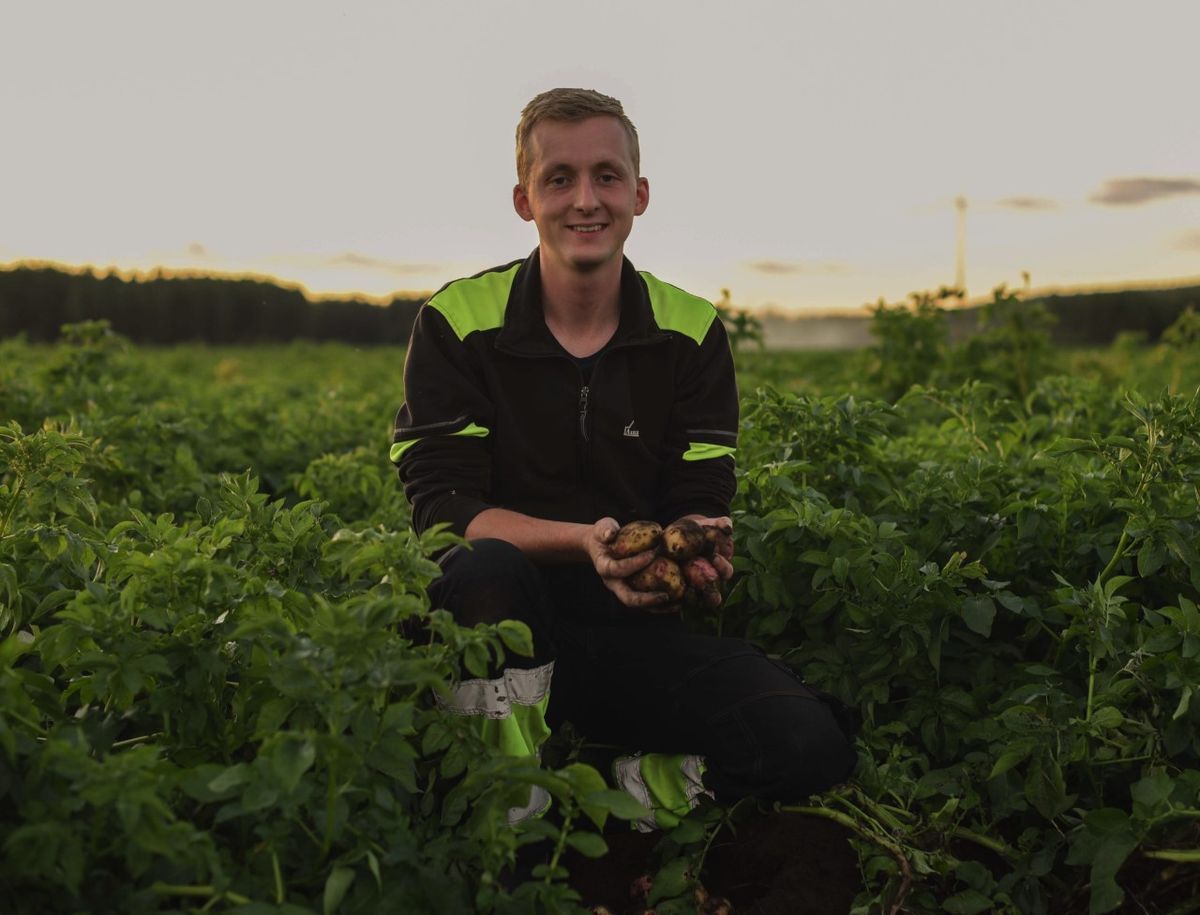 Potatisodlaren om 2026: ”Vi ökar på alla fronter i år” | ATL