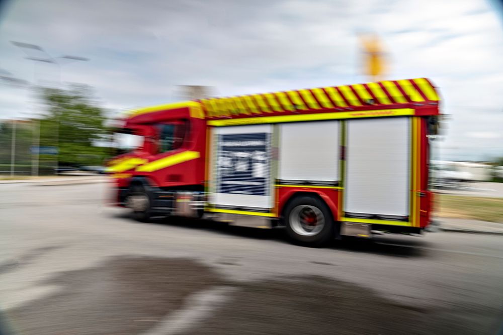 Flera grisar döda i slakteribrand