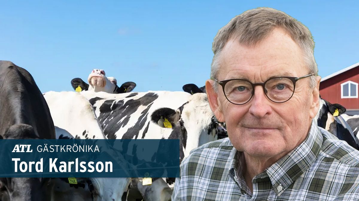 ”Bovaer är fel strid för mjölkbranschen att ta” | ATL