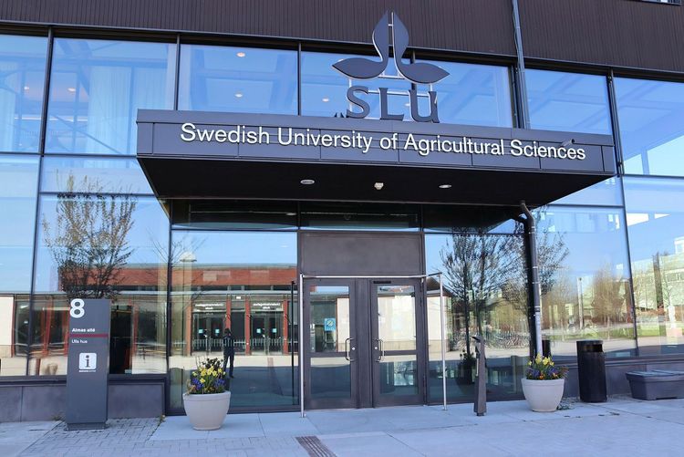 SLU:s rektor om relationen till näringen | ATL