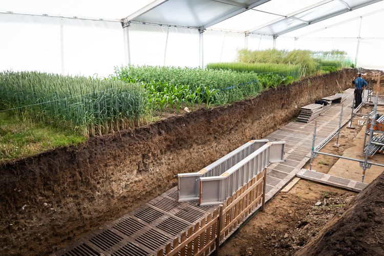 I gropen märks konsekvenserna av markpackning | ATL