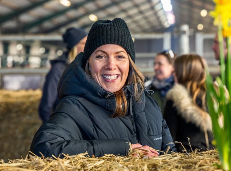 Sveriges bästa avelstjurar på digital elitauktion i Gunnarp | ATL