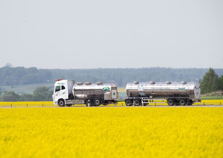 Arla bör producera mer ost i Sverige | ATL