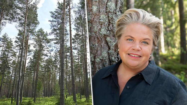 Södras nya satsning ska bli störst i världen | ATL